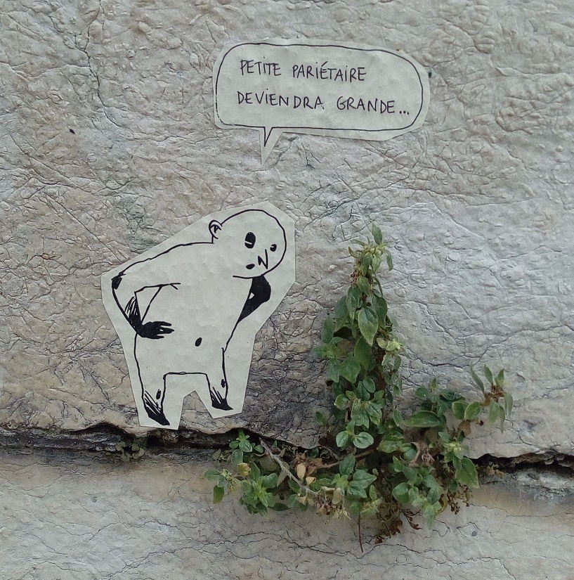 se déperdre – Zakane | Les Cosaques des Frontières